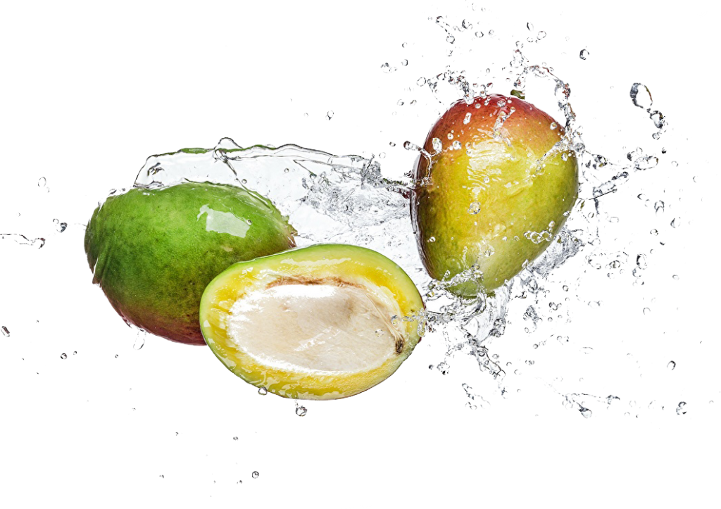 Home Four – Organia